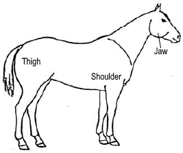 Brand Locations - Livestock Identification Services Ltd.